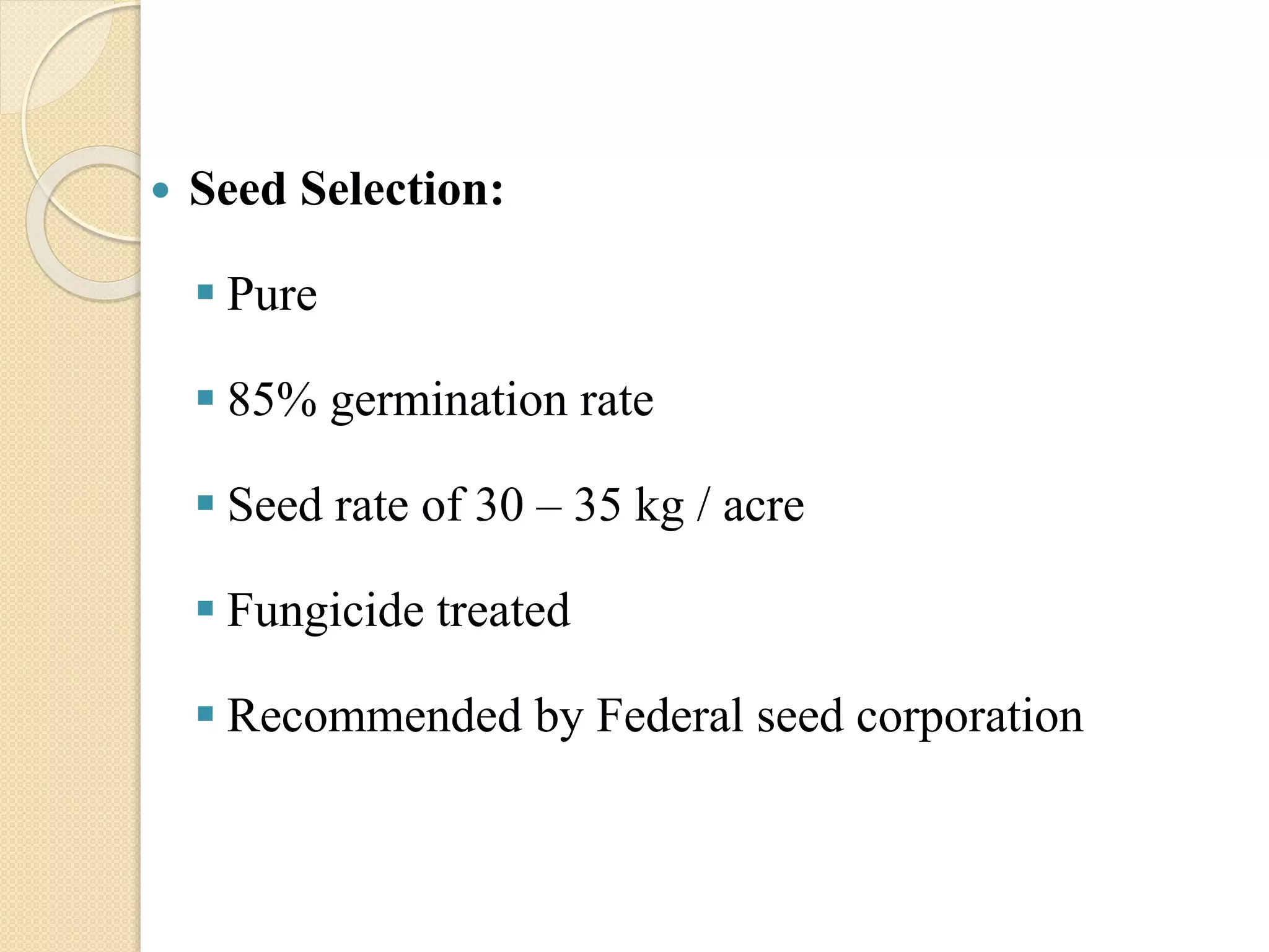 barley crop production ppt.pptx