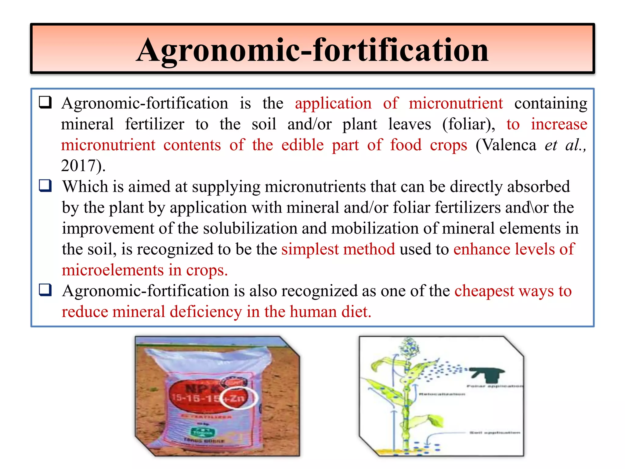 Agronomic-fortification of cereals with iron and zinc | PPTX