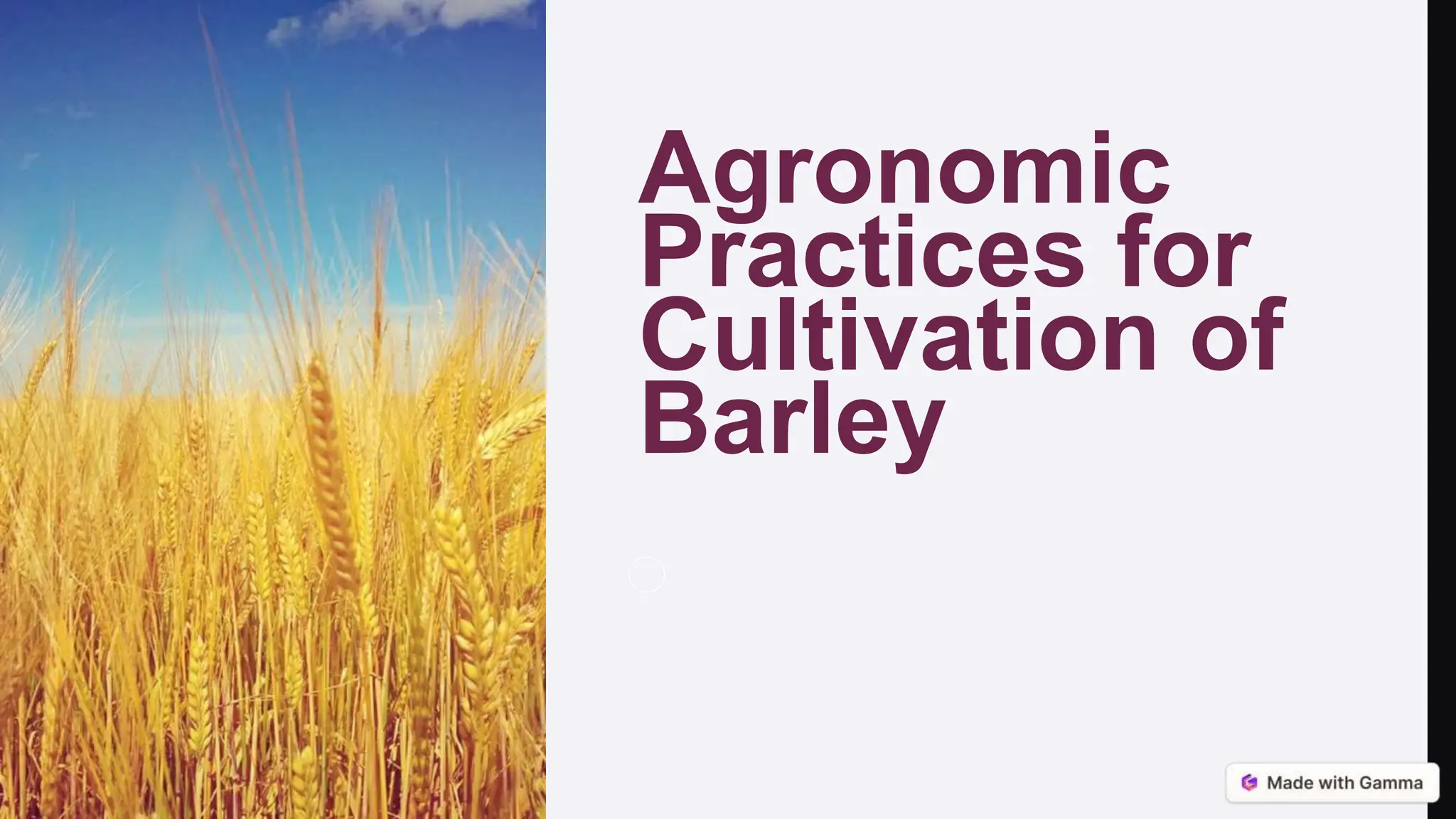 Agronomic-Practices-for-Cultivation-of-Barley.pptx