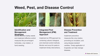 Agronomic-Practices-for-Cultivation-of-Barley.pptx