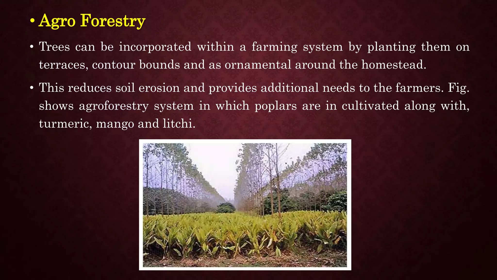 Agronomical measures to control soil erosion | PPTX
