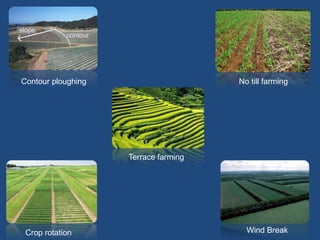 Agronomical practices for soil and water conservation | PPTX