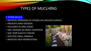 Agronomic mesures | PPTX