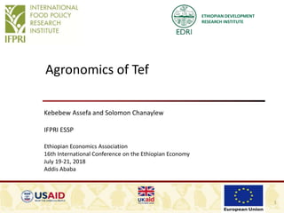 Agronomics of Tef | PPTX