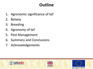 Agronomics of Tef | PPTX