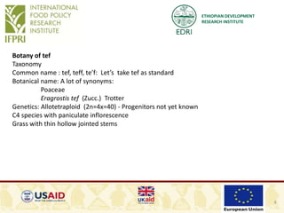 Agronomics of Tef | PPTX