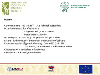 Agronomics of Tef | PPTX