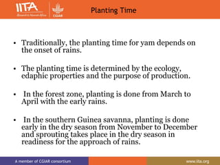 Agronomy and Propagation of Yam Basic information | PPTX