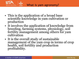 Agronomy and Propagation of Yam Basic information | PPTX