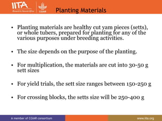 Agronomy and Propagation of Yam Basic information | PPTX