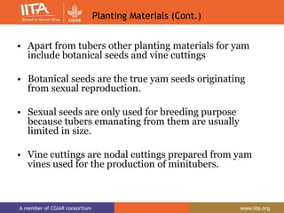 Agronomy and Propagation of Yam Basic information | PPTX