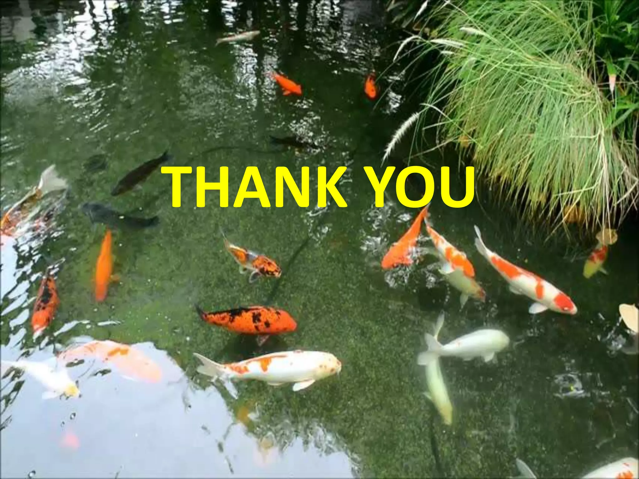role of fisheries and pond management in IFS | PPTX