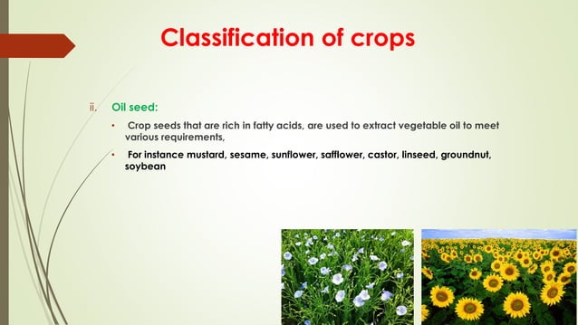 Classification of Agronomy crops | PDF