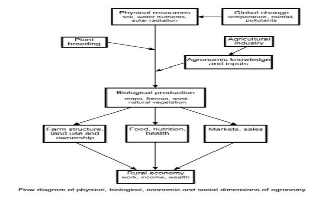 Agronomy introduction