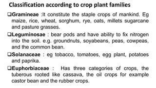 Agronomy lecture notes.pptx