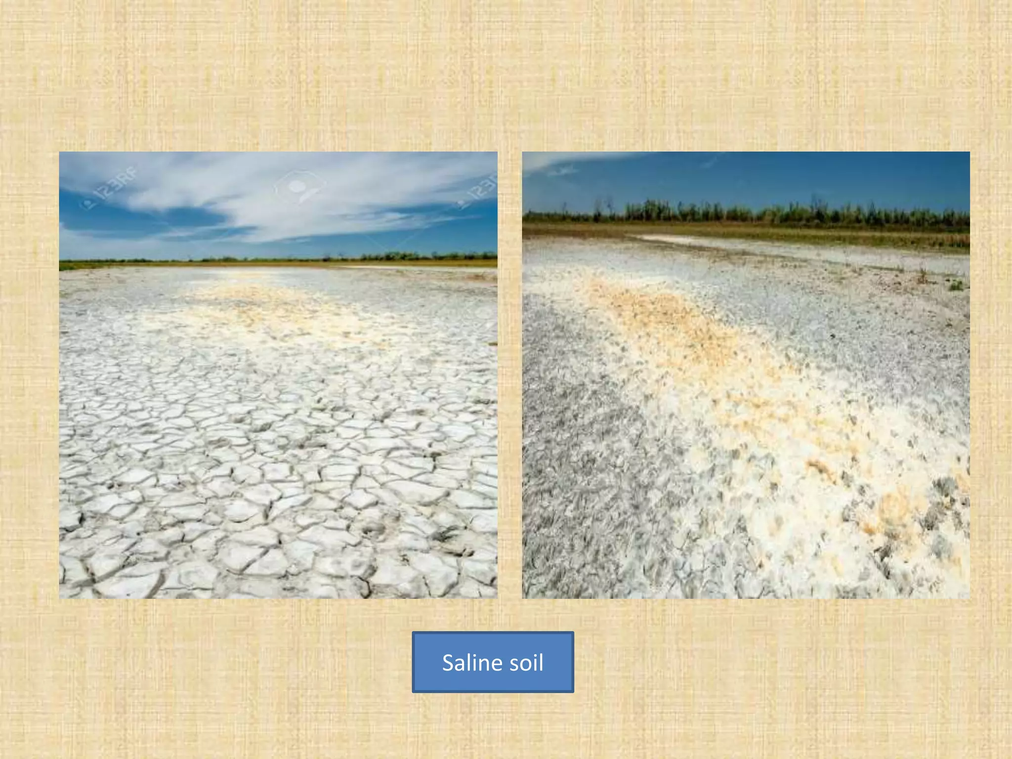 PROBLEM SOILS AND THEIR MANAGEMENT | PPTX