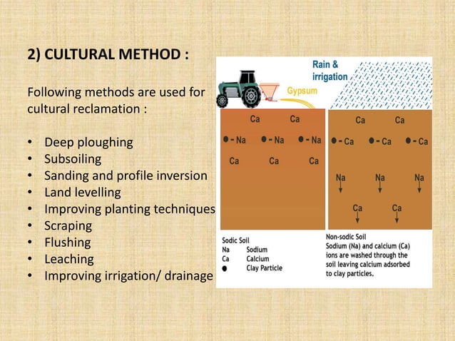 PROBLEM SOILS AND THEIR MANAGEMENT | PPTX | Agriculture | Industries