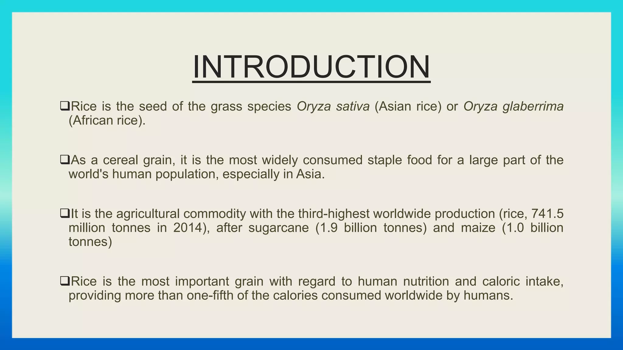 Presentation on Rice Cultivation | PPTX