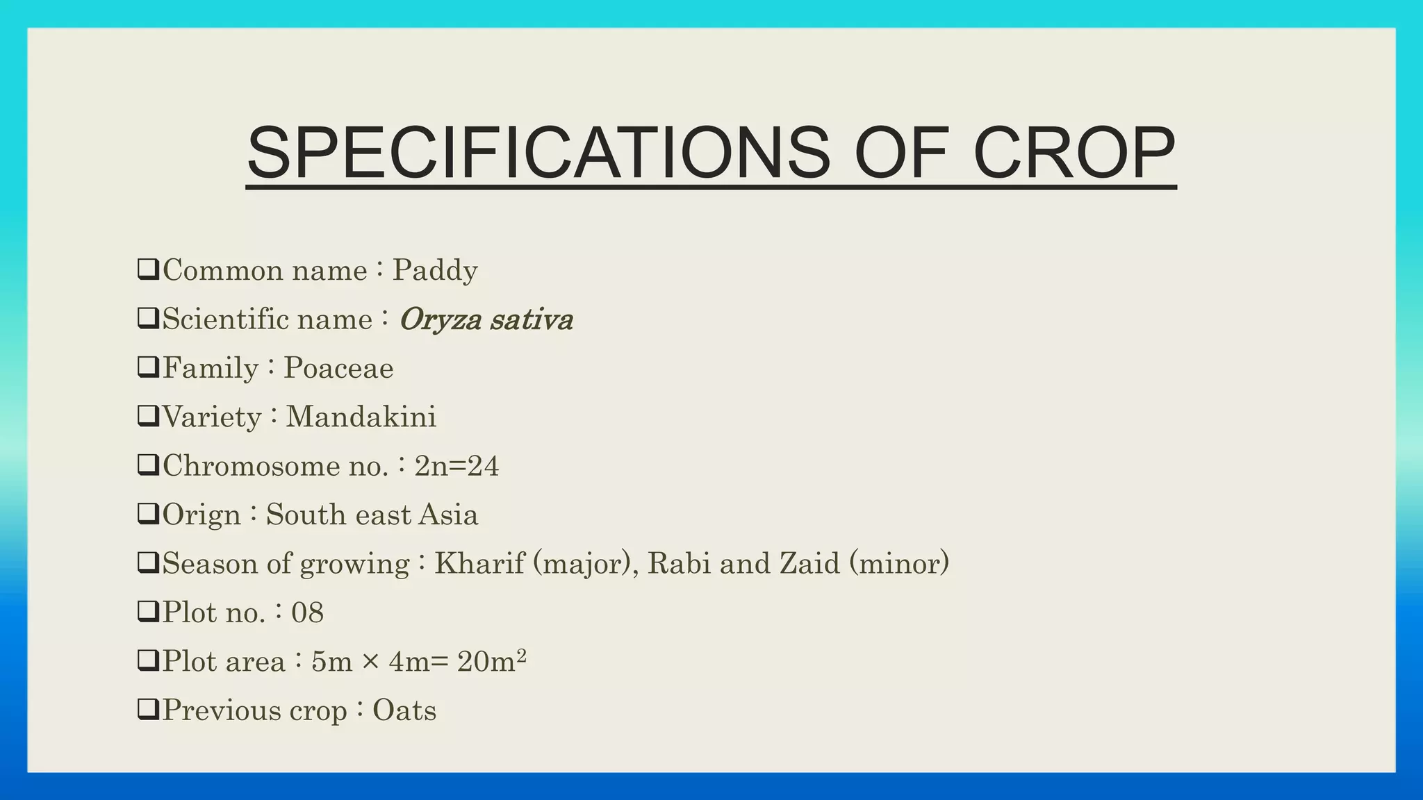 Presentation on Rice Cultivation | PPTX