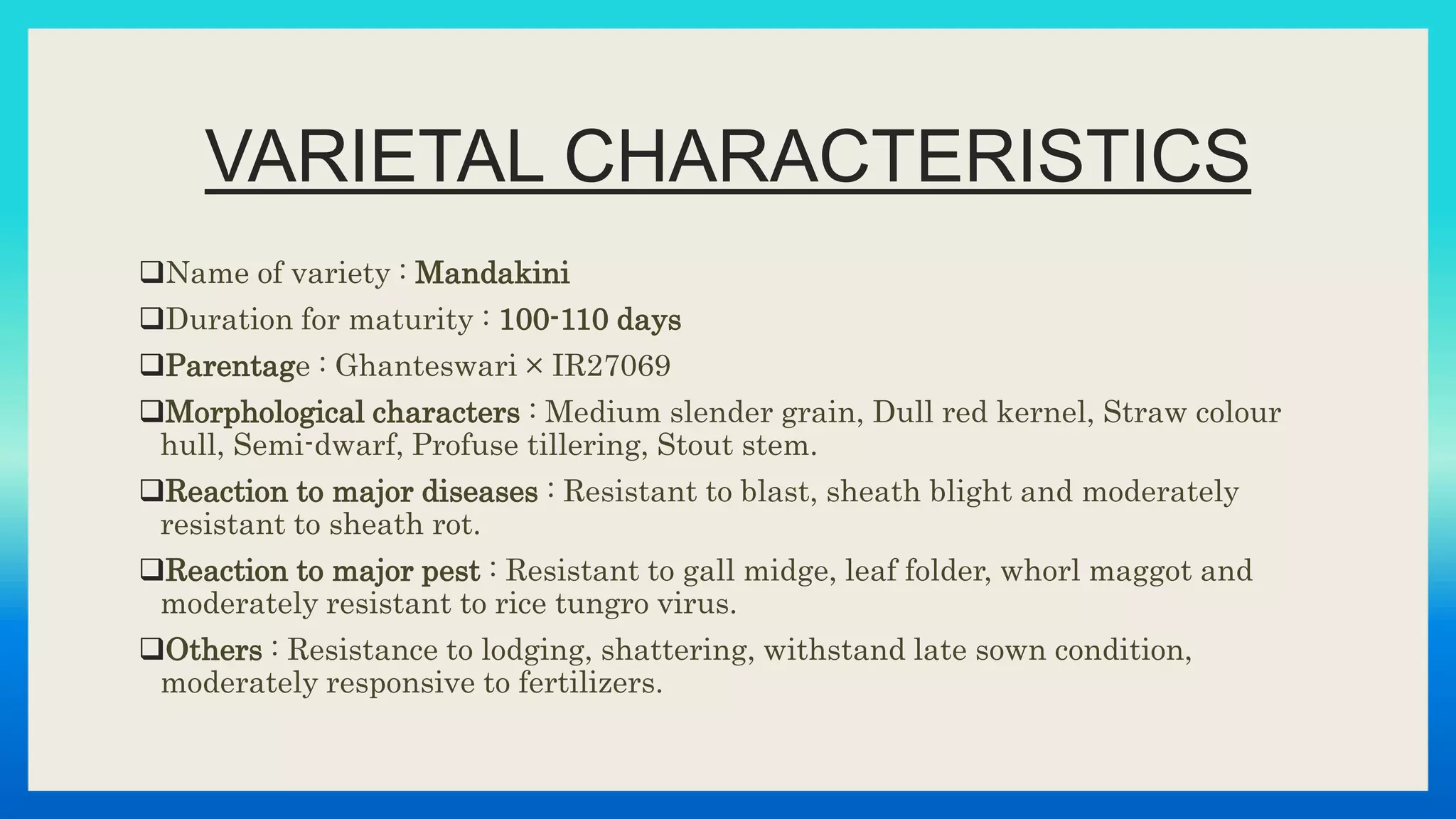 Presentation on Rice Cultivation | PPTX