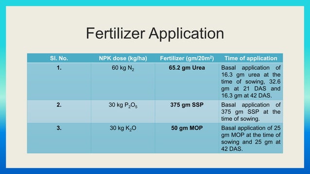 Presentation on Rice Cultivation | PPTX | Agriculture | Industries