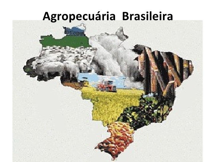 Agropecuária brasileira