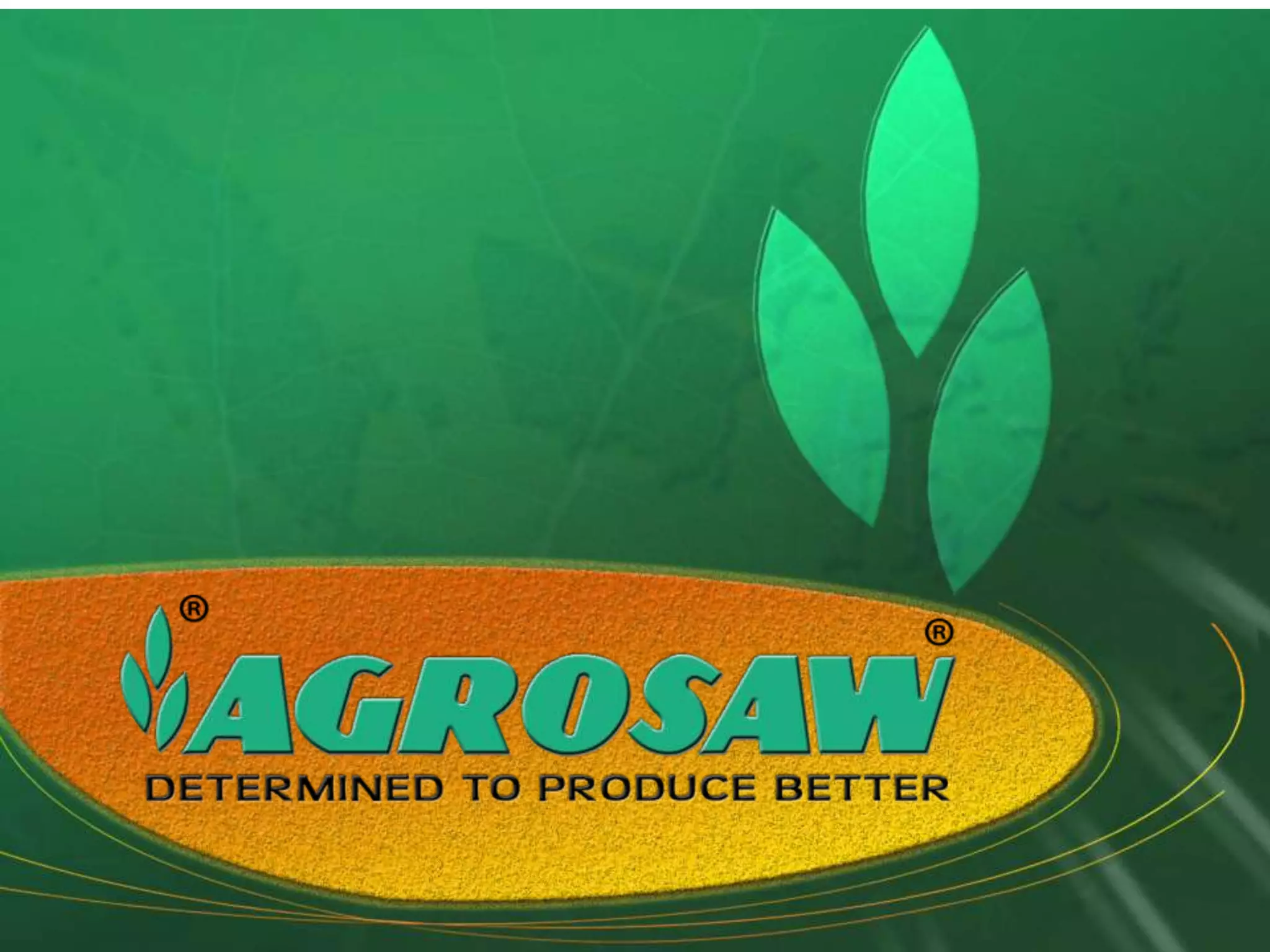 Agrosaw grading line | PPT