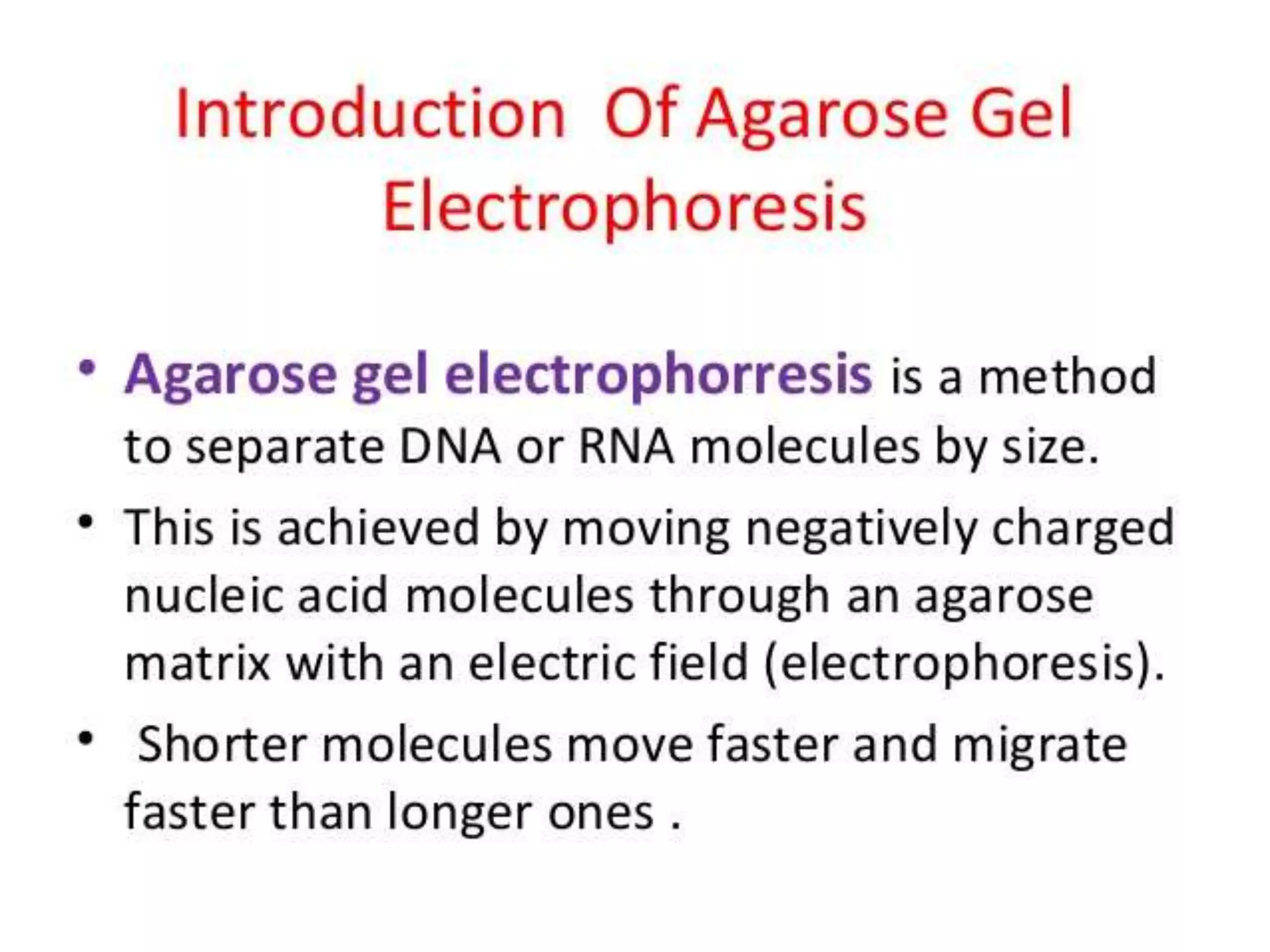 Agrose gel electrophoresis | PPTX
