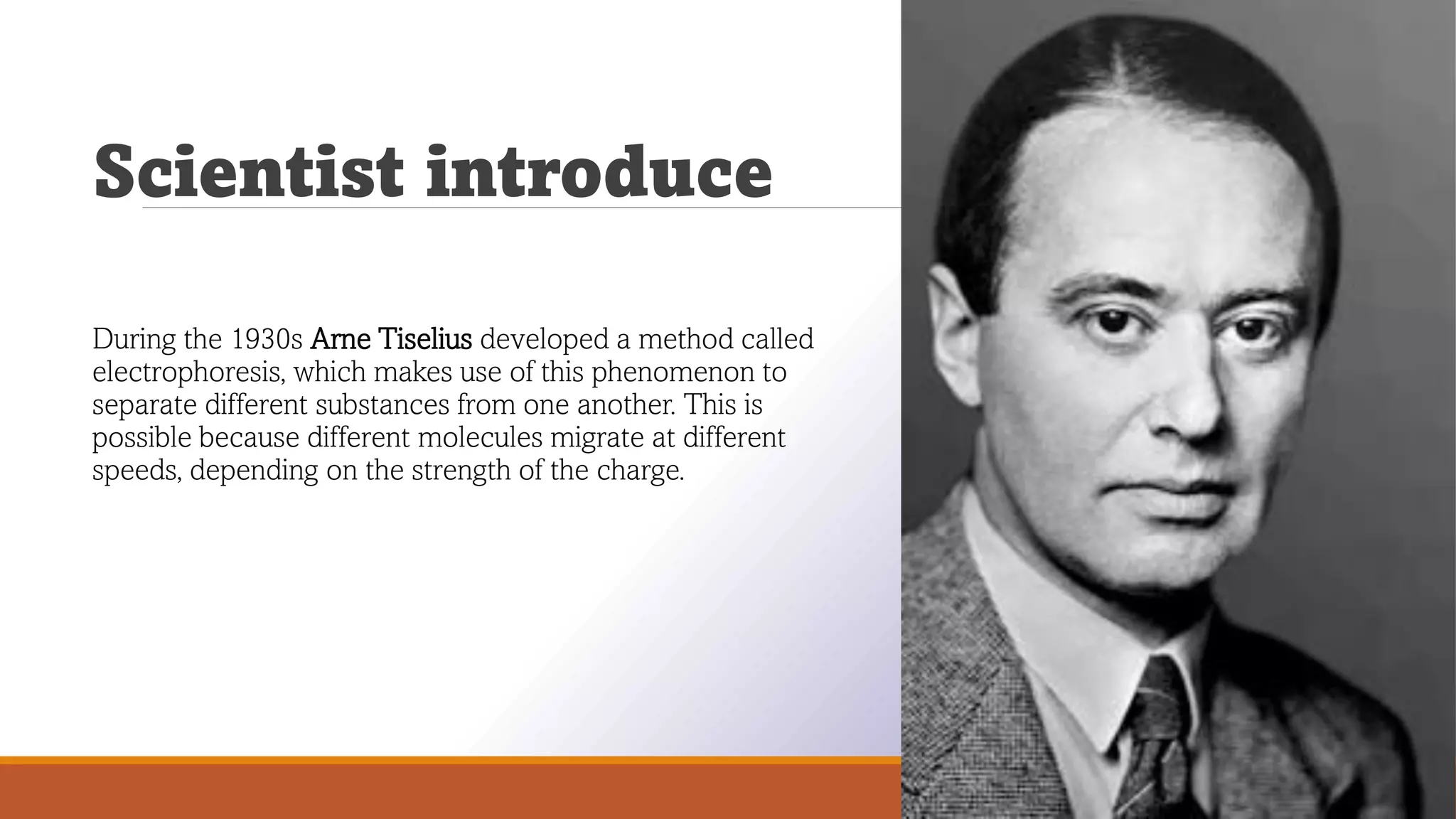 agrose gel electrophoresis .pdf