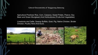 Agrosilvopastoral system for coal mine reclamation | PPT