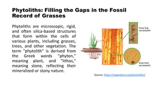 AGROSTOLOGY introduction Lecture 1 and 2.pdf