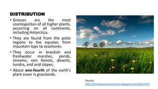AGROSTOLOGY introduction Lecture 1 and 2.pdf