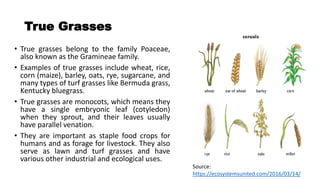 AGROSTOLOGY introduction Lecture 1 and 2.pdf