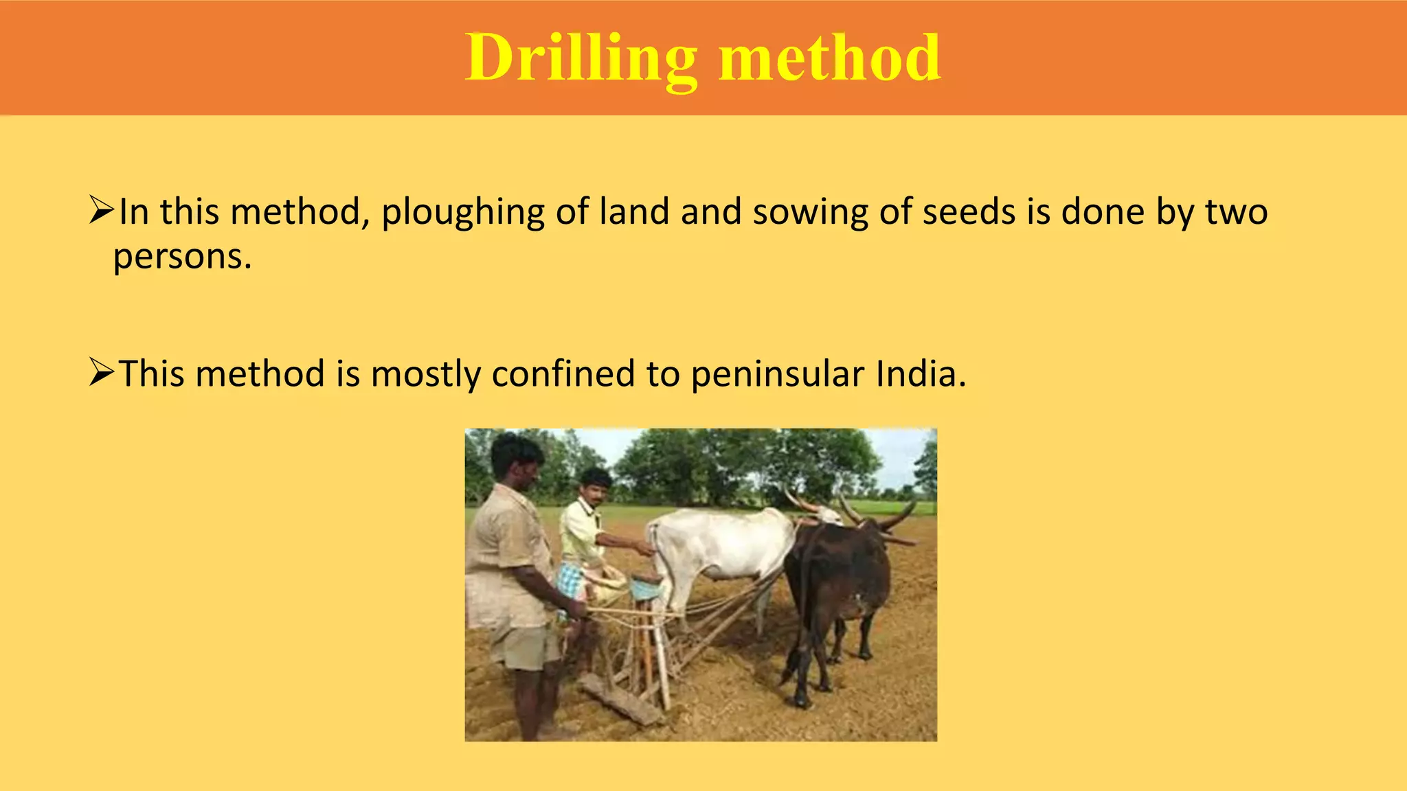 Agrotechnology of rice | PPTX