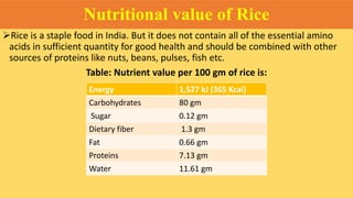 Agrotechnology of rice | PPT
