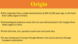 Agrotechnology of rice | PPTX