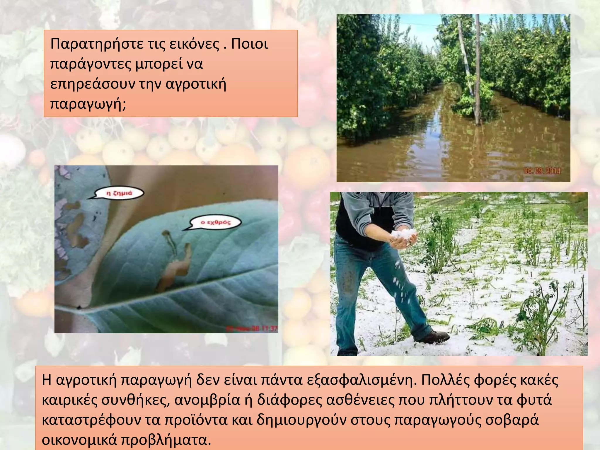 Agrotiki paragogi stin ellada | PPTX