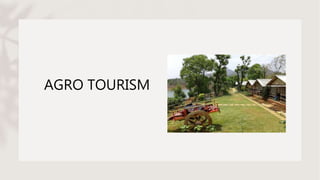 AGRO TOURISM.pptx