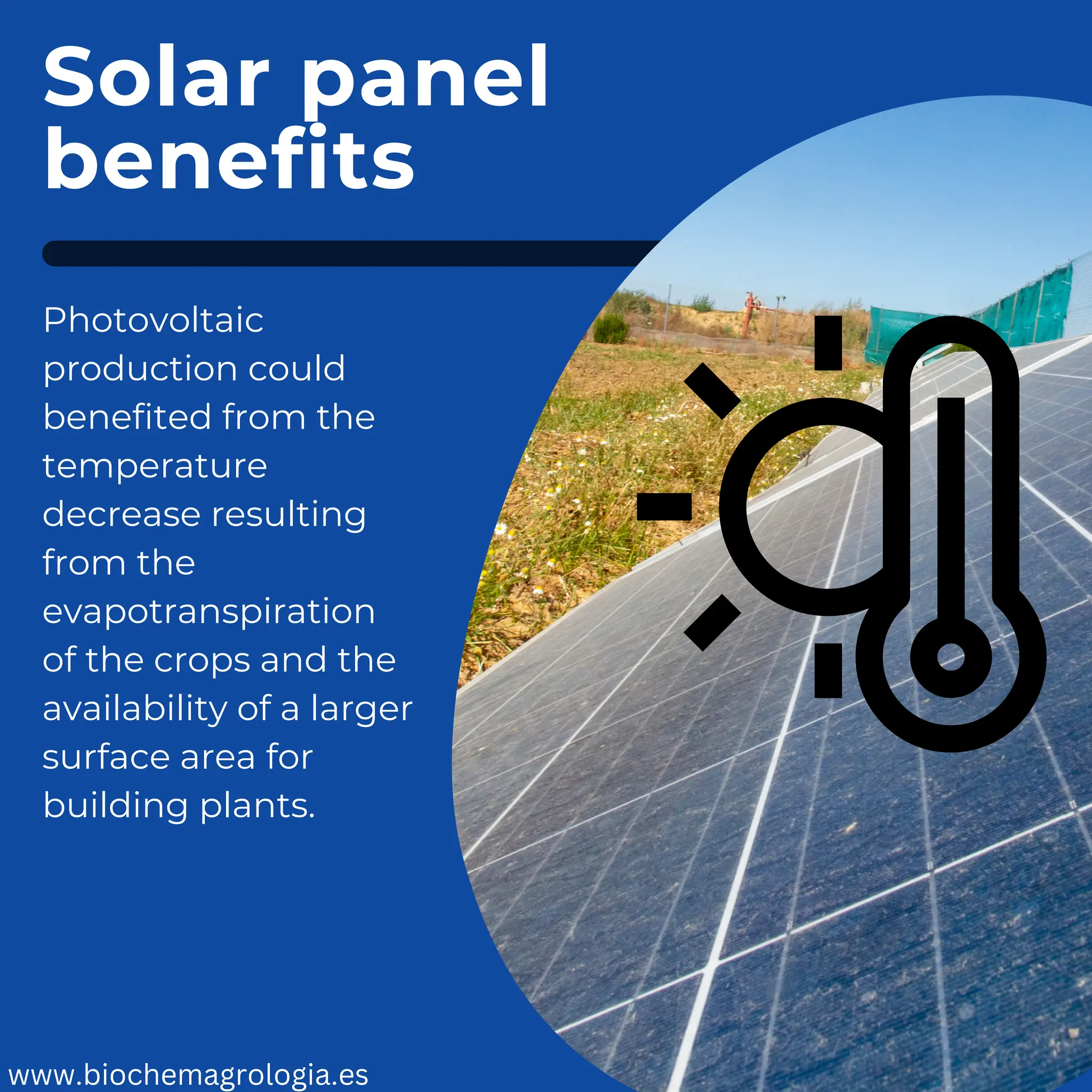 Agrovoltaic Power Plants (2).pdf
