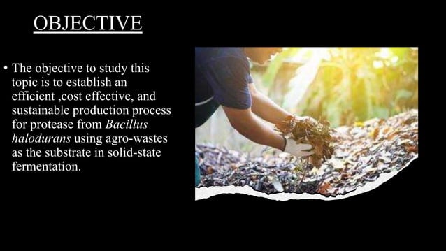 AGROWASTE (agricultural waste i.e. agrowaste).pptx