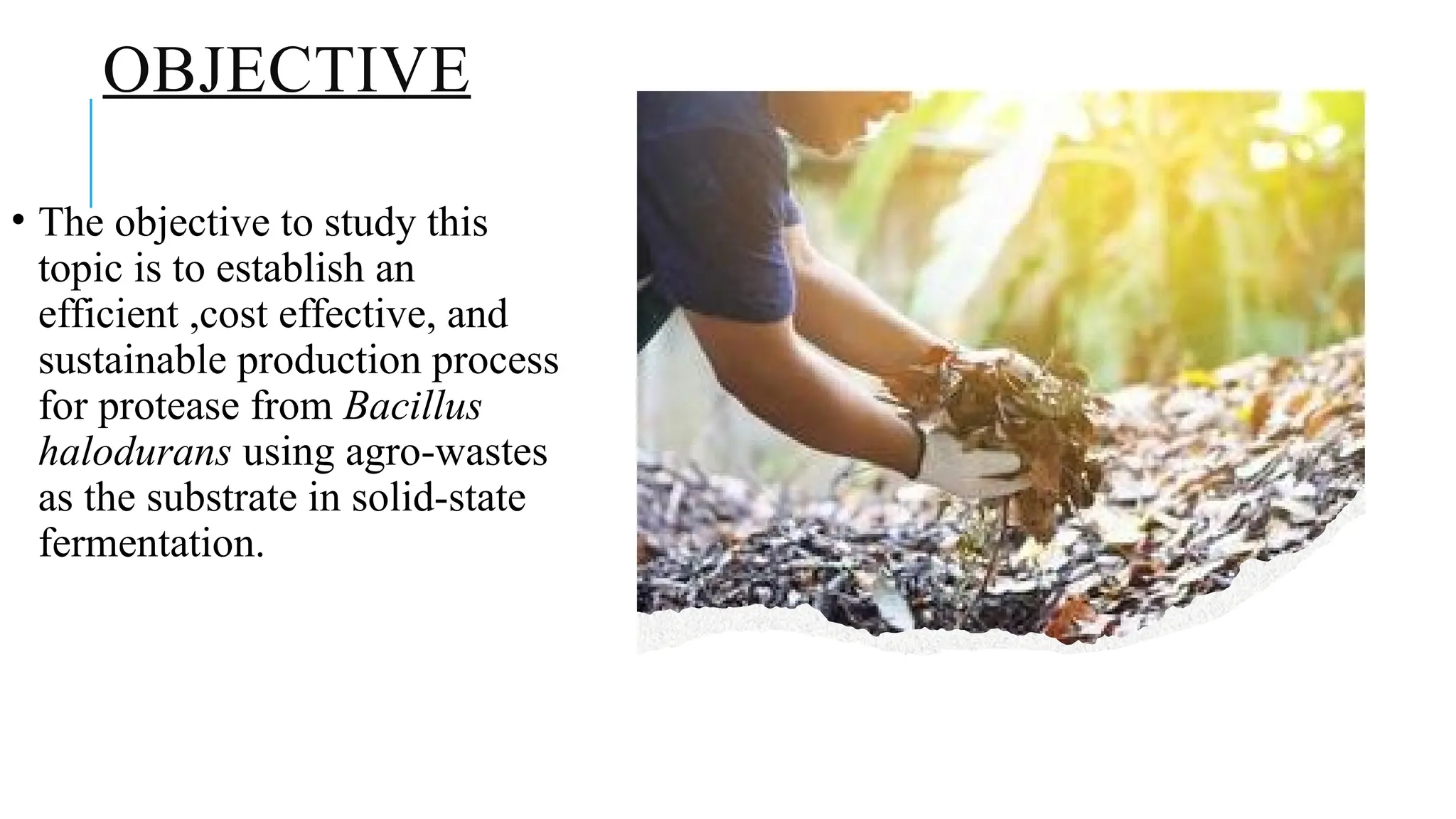 AGRICULTURAL WASTE AKA AGROWASTE 55.pptx