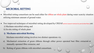 retting in jute and sunnhemp | PPTX