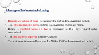 retting in jute and sunnhemp | PPTX