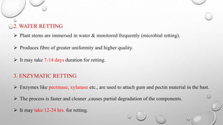 retting in jute and sunnhemp | PPTX