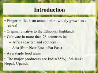 Scope for production of Finger millet (Eleusine coracana L. Gaertn.) | PPT