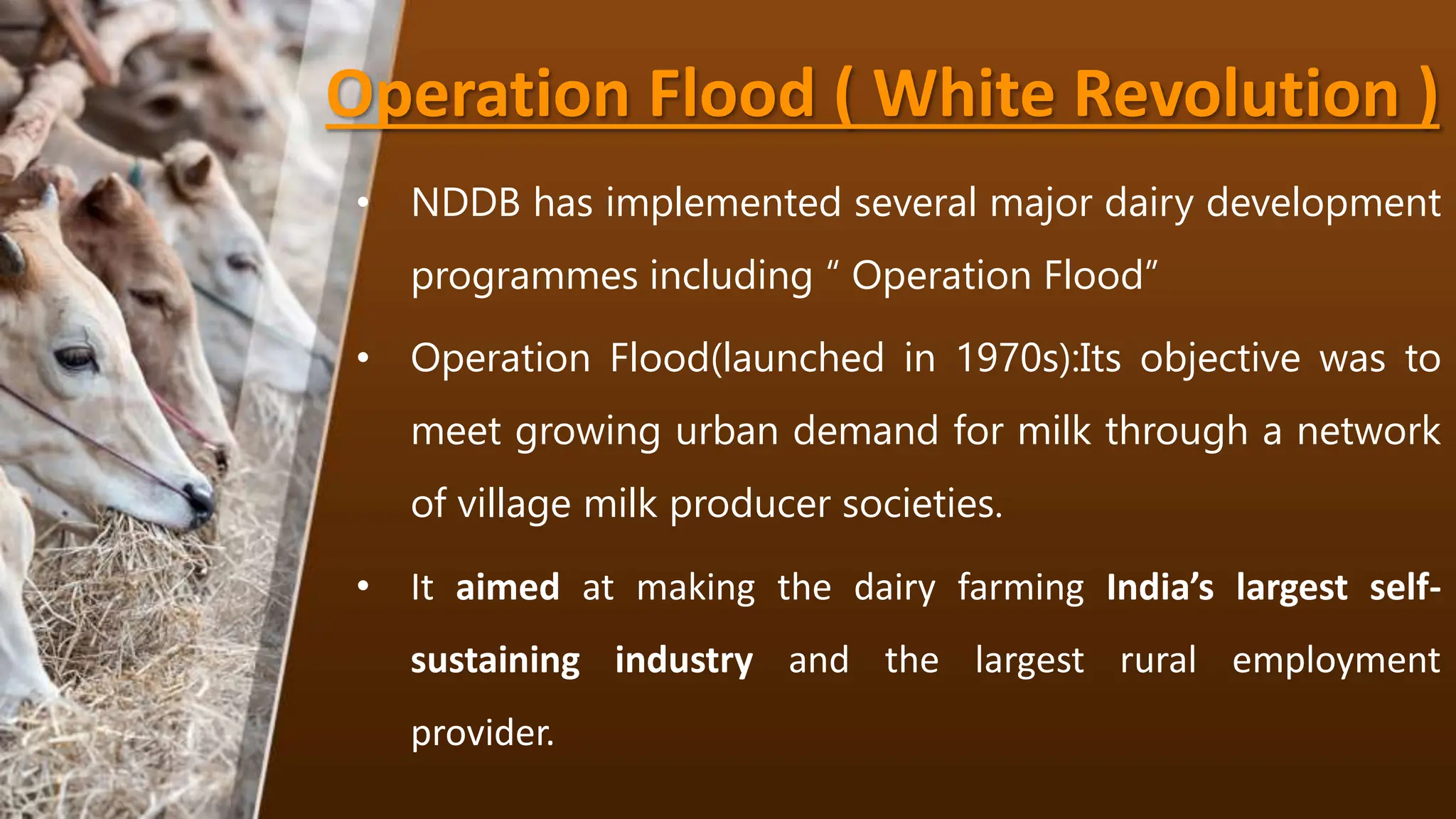 National Dairy Development Board-India.pptx
