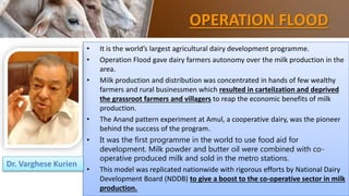 National Dairy Development Board-India.pptx