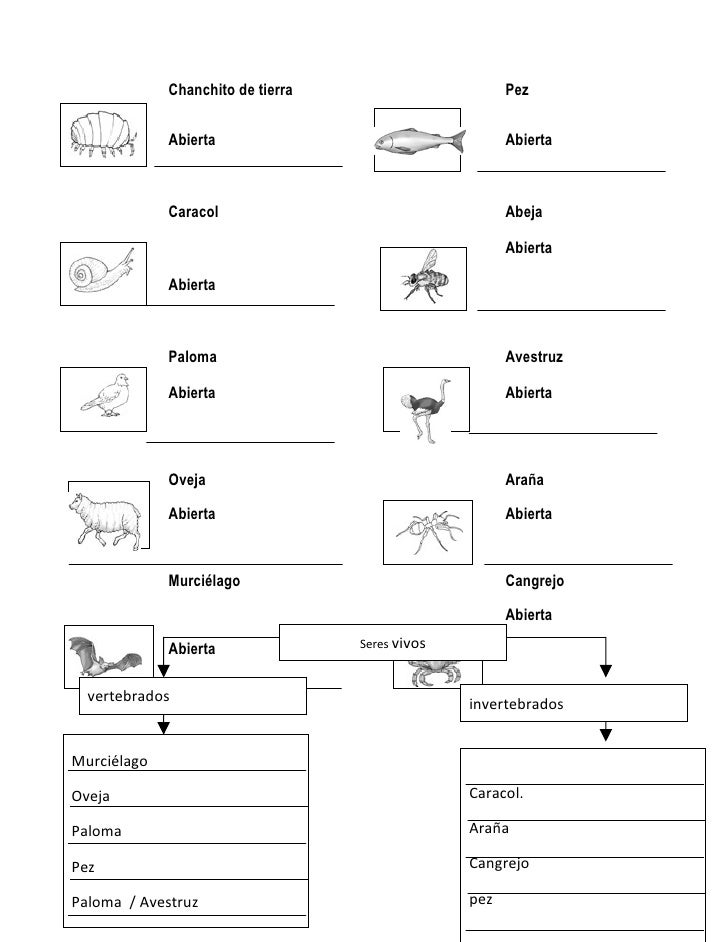 Agrupación de animales, unidad 1