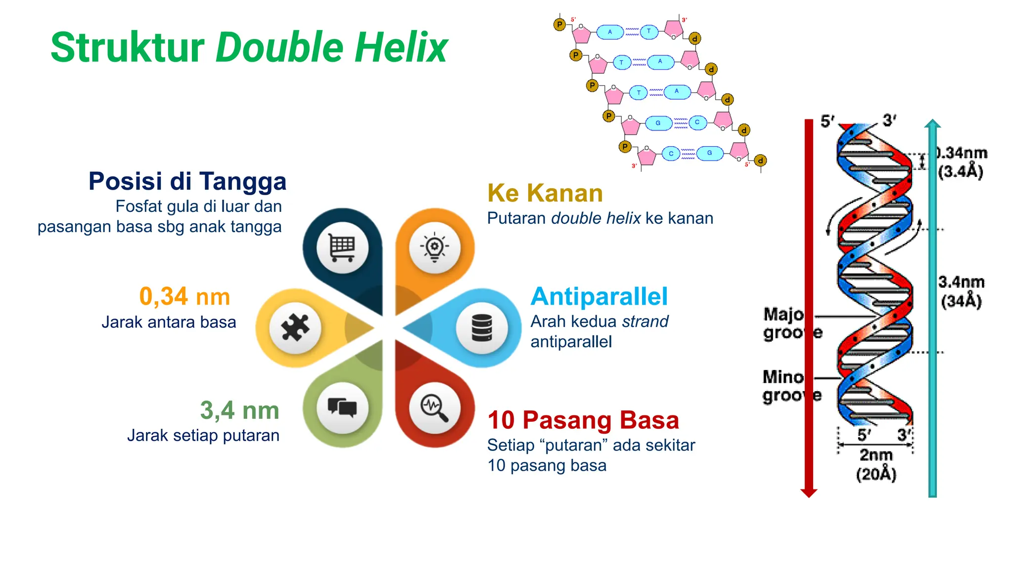 AGT3316_13_StrukturDanReplikasiDNA-note.pdf