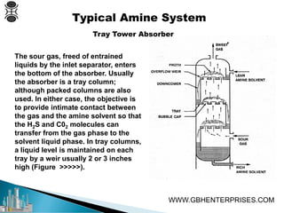 Amine Gas Treating Unit - Best Practices - Troubleshooting Guide | PDF